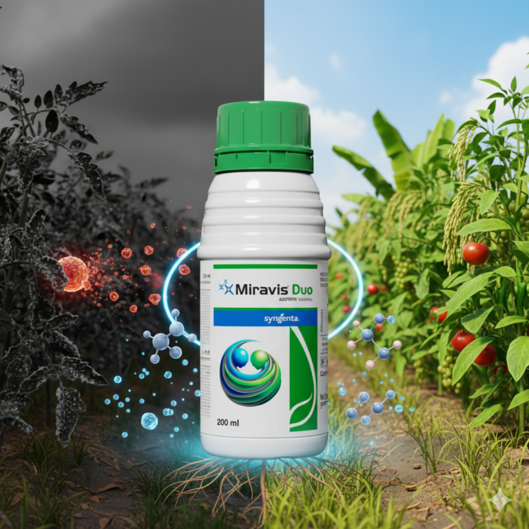 Syngenta Miravis Duo Fungicide – Uses, Benefits, Dose & Disease Control ...